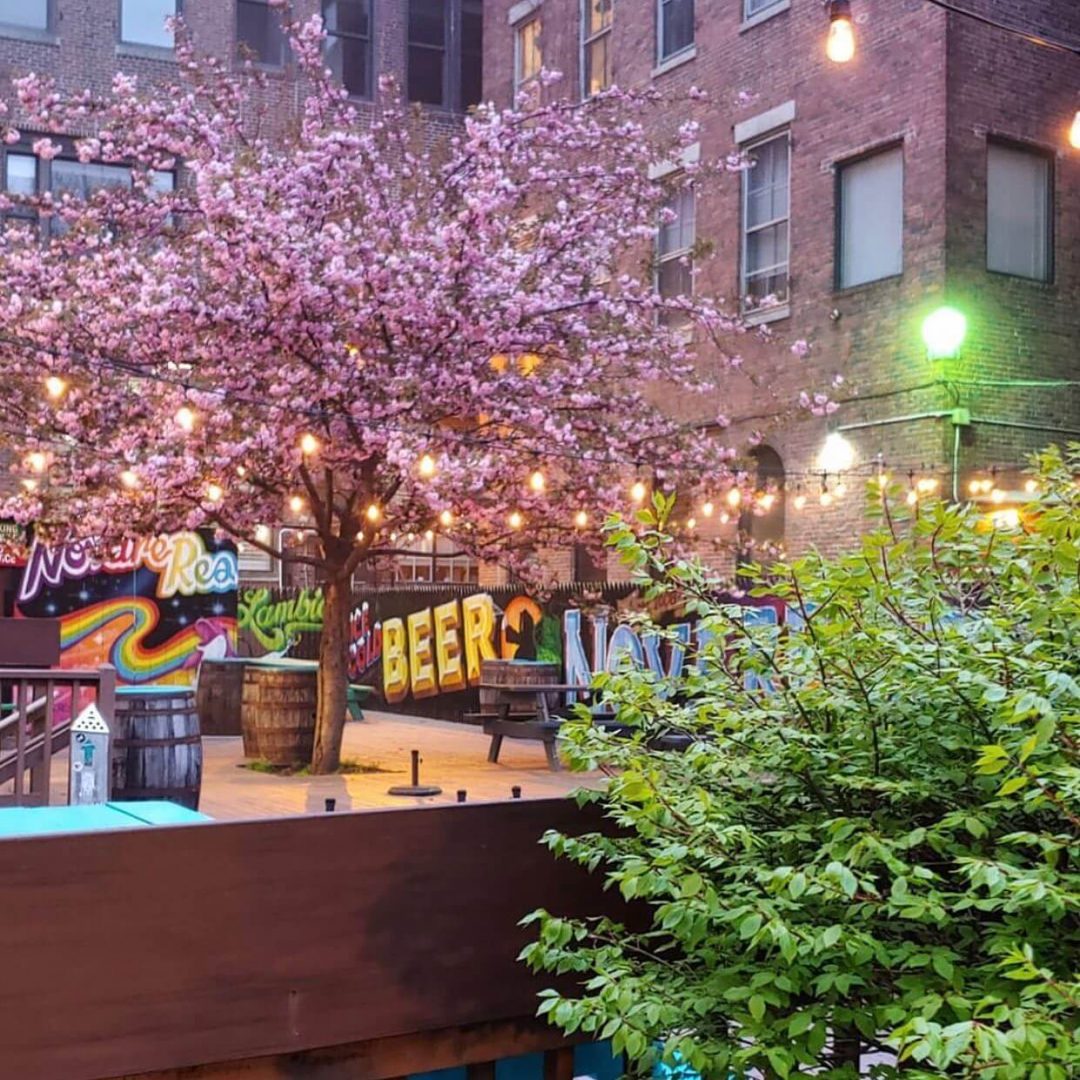 The 13 Best Bars in Portland, Maine